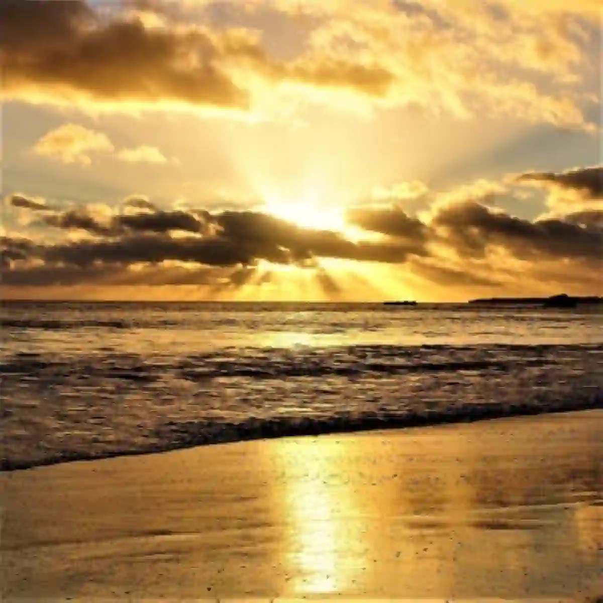 The Six Days Of Creation - List | Here There and Everywhere