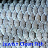 Jewish list of clean fish - List | Here There and Everywhere