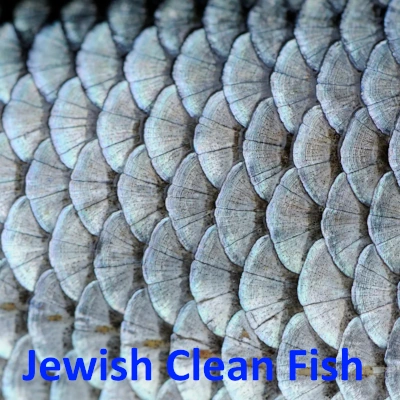 Jewish list of clean fish - List | Here There and Everywhere
