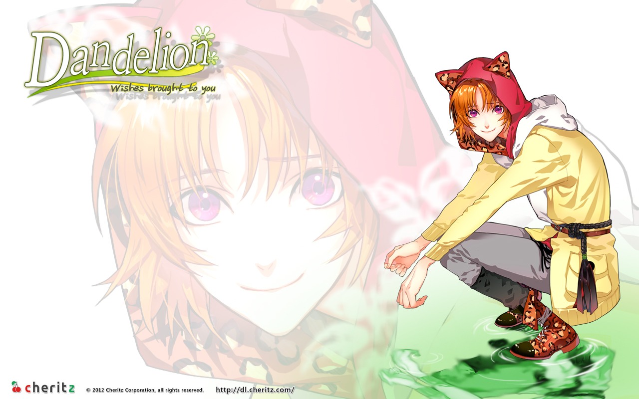 Dandelion - Wishes brought to you