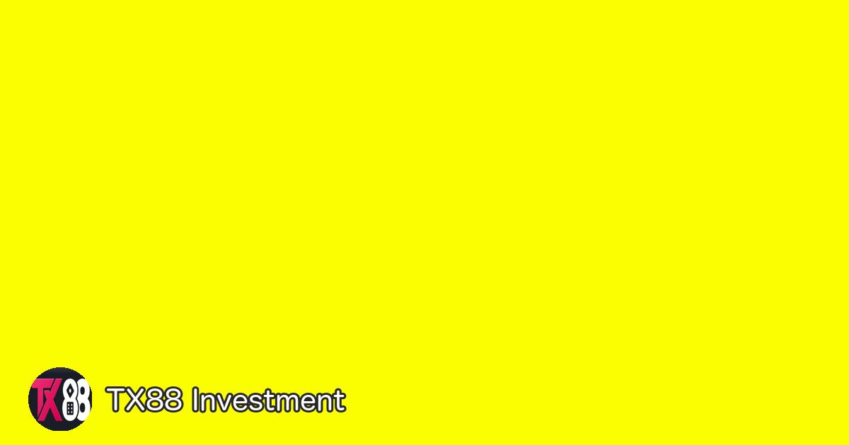 TX88 Investment | chichi-pui（ちちぷい）AI画像専用の投稿＆生成サイト