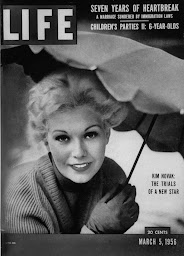 Life Tags - Photographs classified by Machine Learning