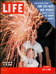 Life Tags - Photographs classified by Machine Learning