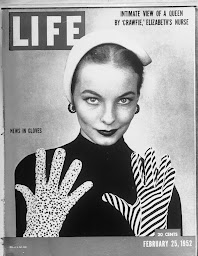 Life Tags - Photographs classified by Machine Learning