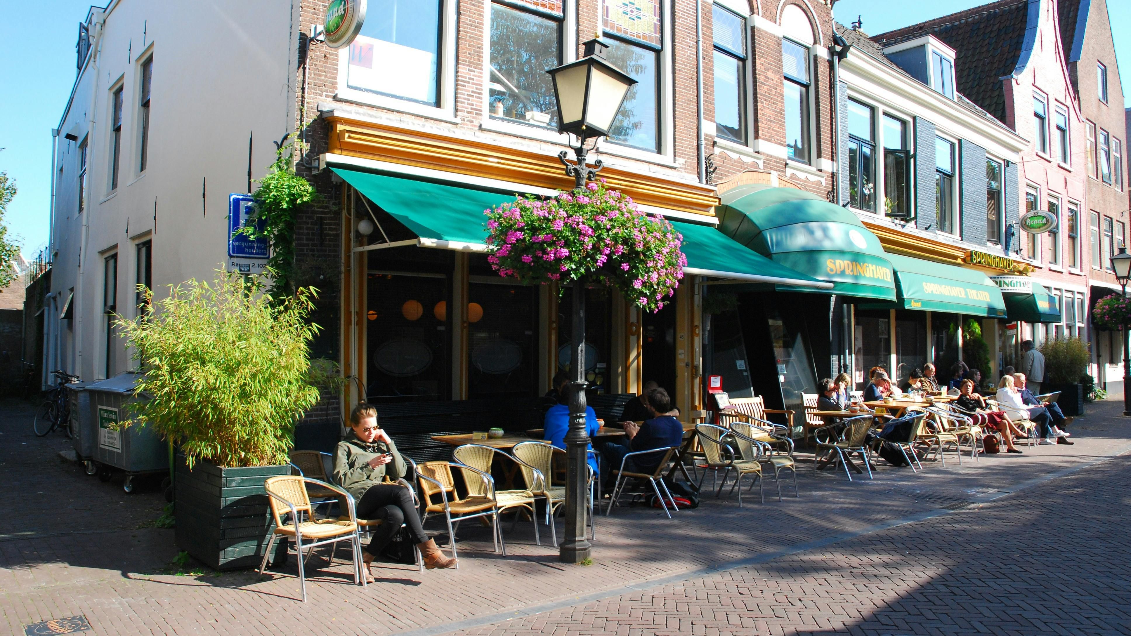 Introducing: Springhaver - Cineville