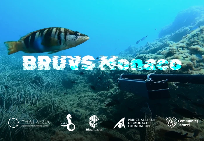 BRUVS Monaco | Community Jameel