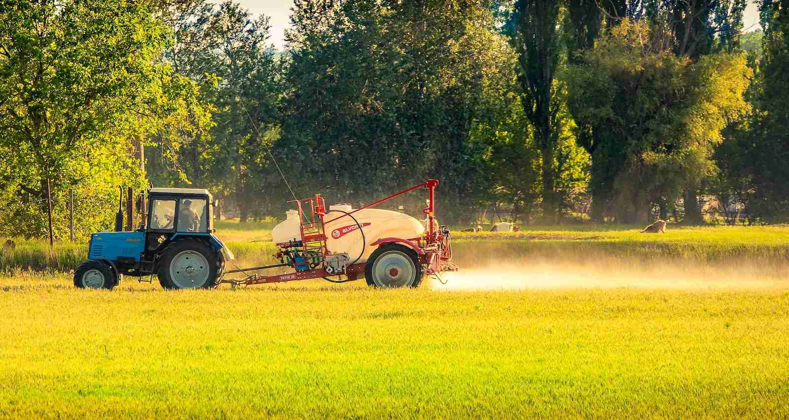 How to Give Your Tractor a Classic Look? - ClassicTractorNews