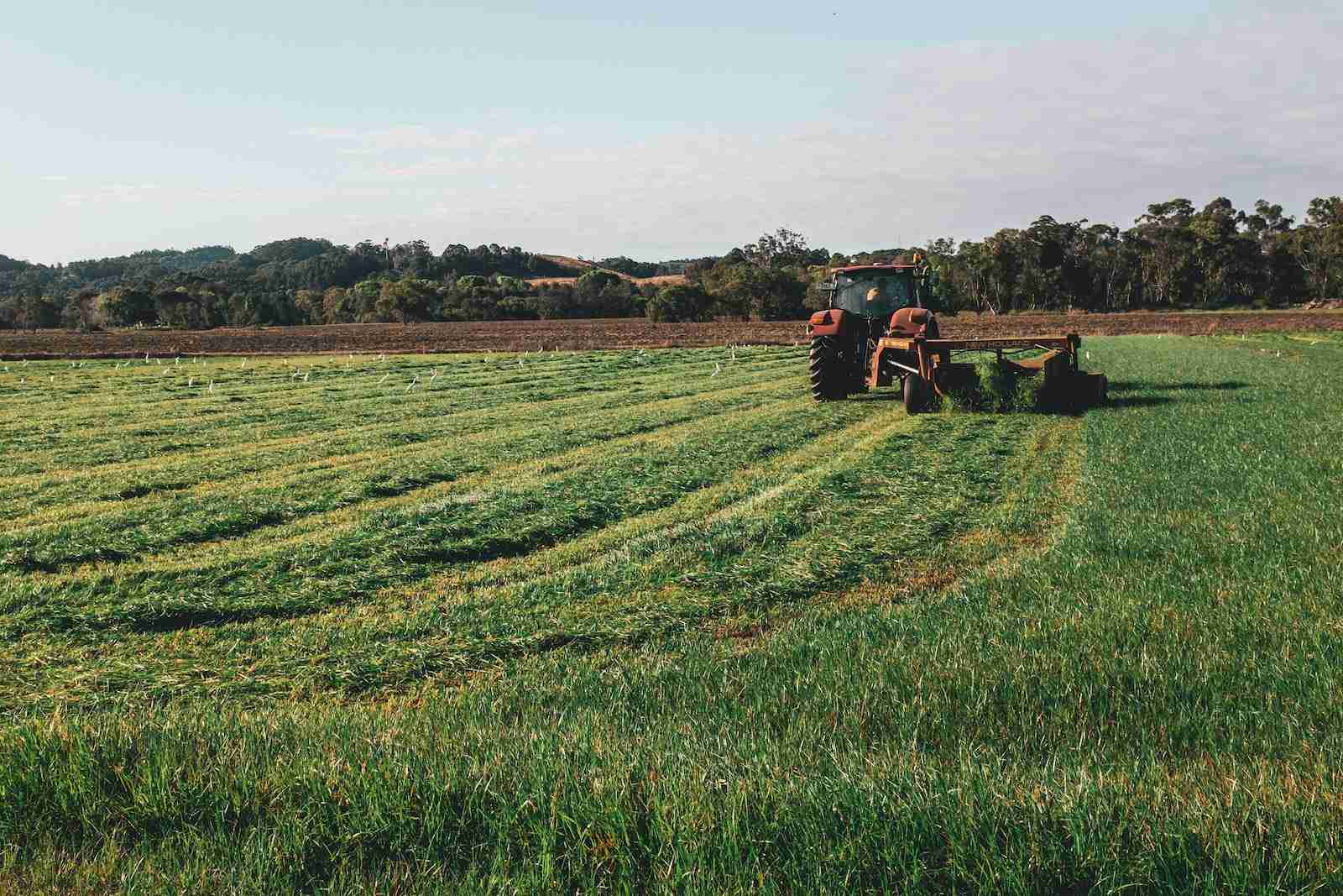 Can You Make Your Tractor Shine Again? - ClassicTractorNews