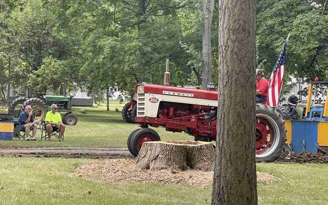 Are Classic Tractors for Sale In Cornwall? - ClassicTractorNews