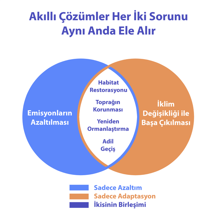 Adaptasyon: Nedir ve neden buna ihtiyacımız var? | ClimateScience