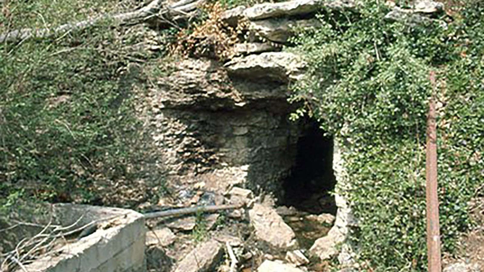 The Barnes Enclosure and Cave Spring - Clio
