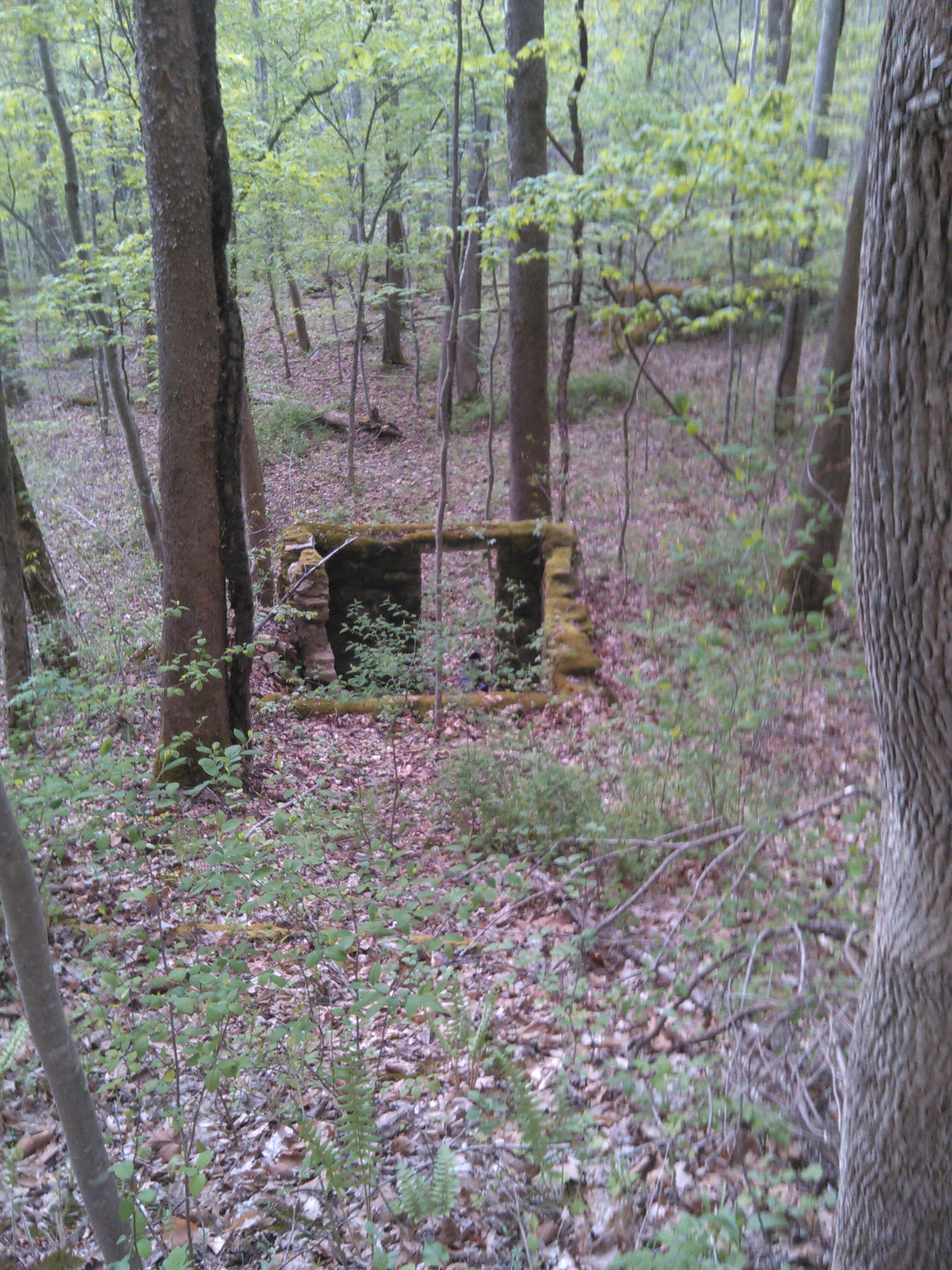 The "Italian" Homestead - Clio