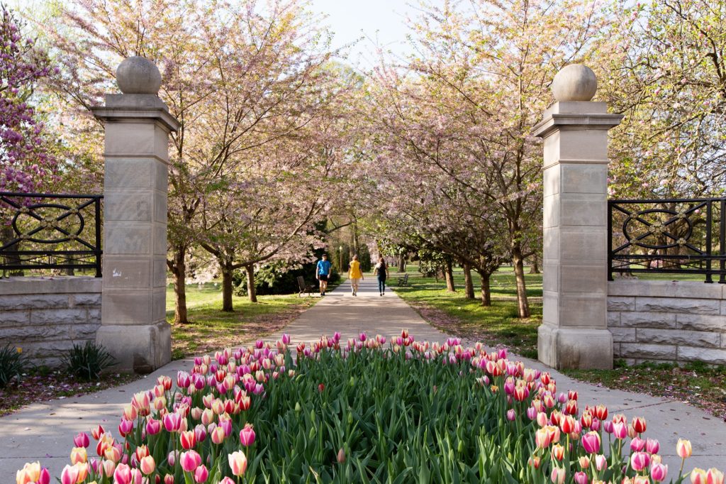 Tower Grove Park - Clio