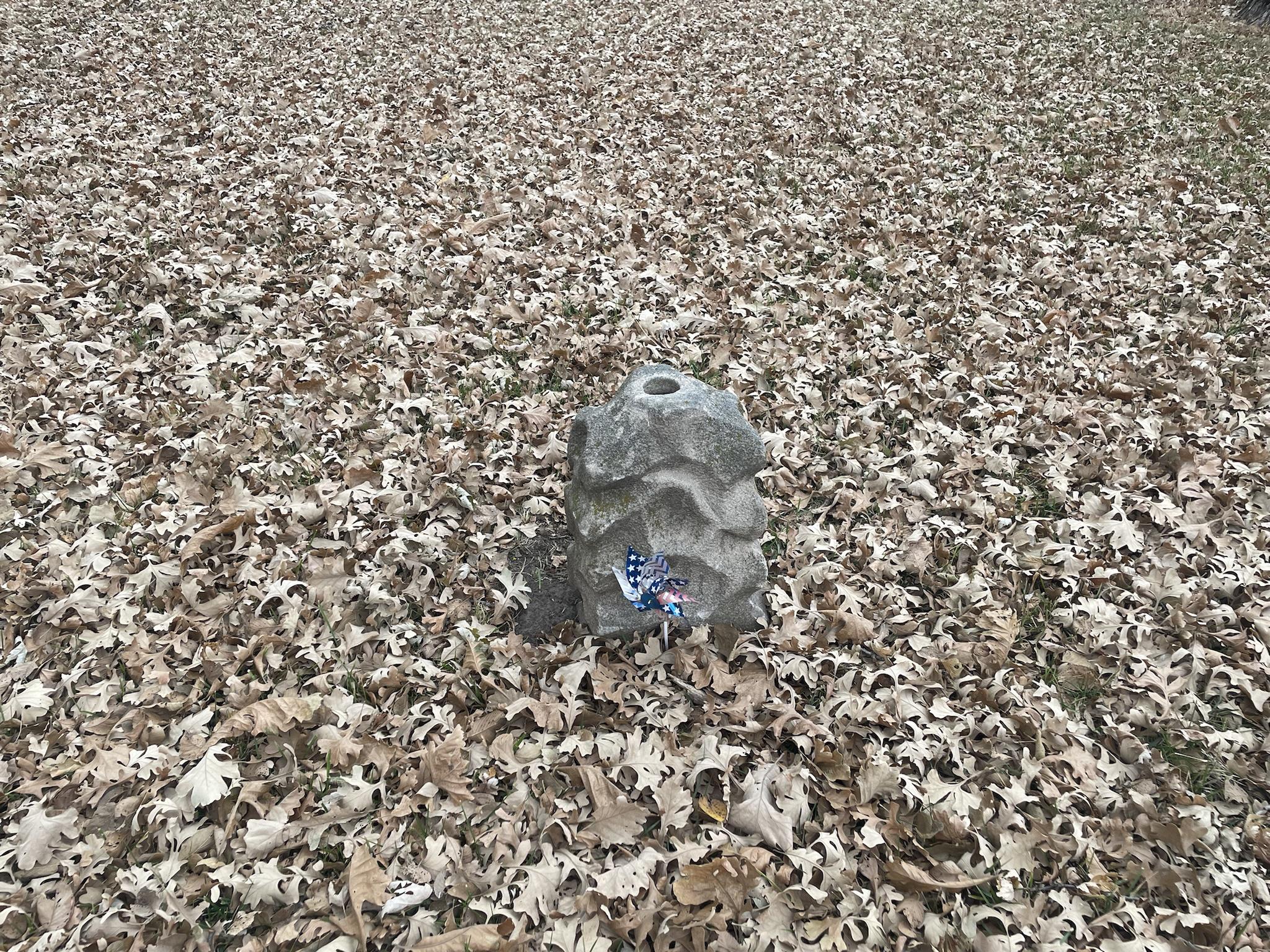 Potter's Field Cemetery - Clio