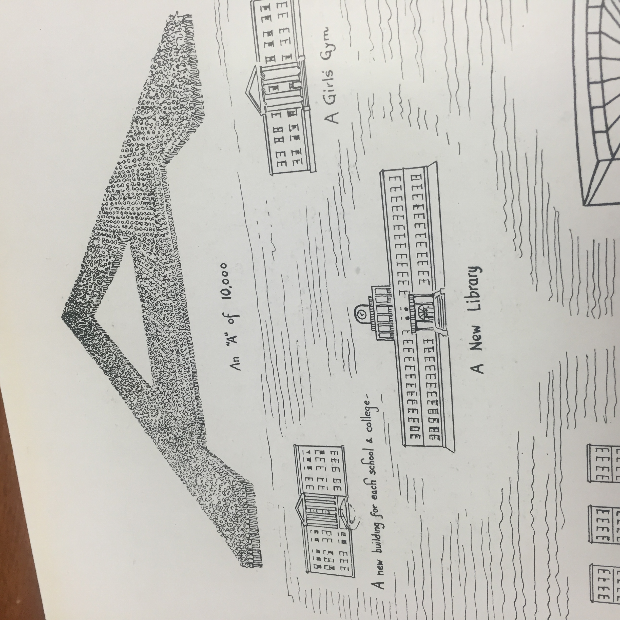 Amelia Gayle Gorgas Library - Clio