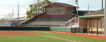 Dot Hicks Field - Clio