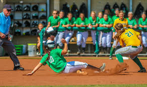 Dot Hicks Field - Clio