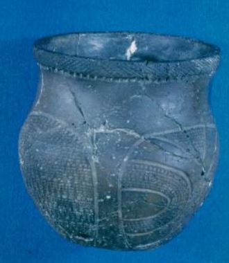 University of Michigan - Museum of Anthropological Archaeology - Clio