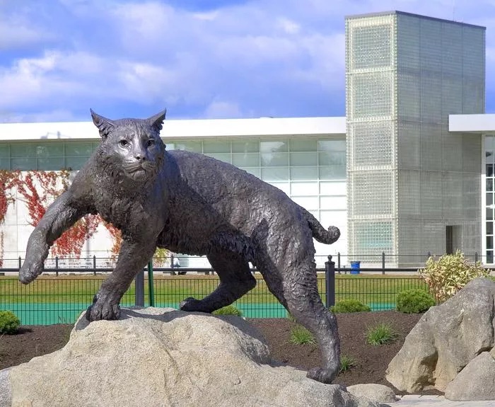 Wildcat sculpture, Main St., University of New Hampshire - Clio