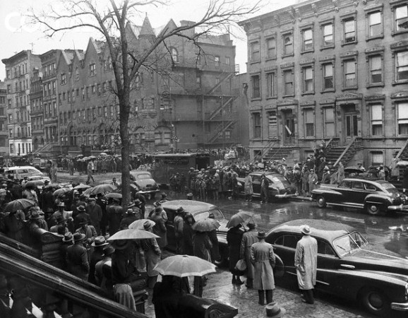 Collyer Brothers Park - Clio