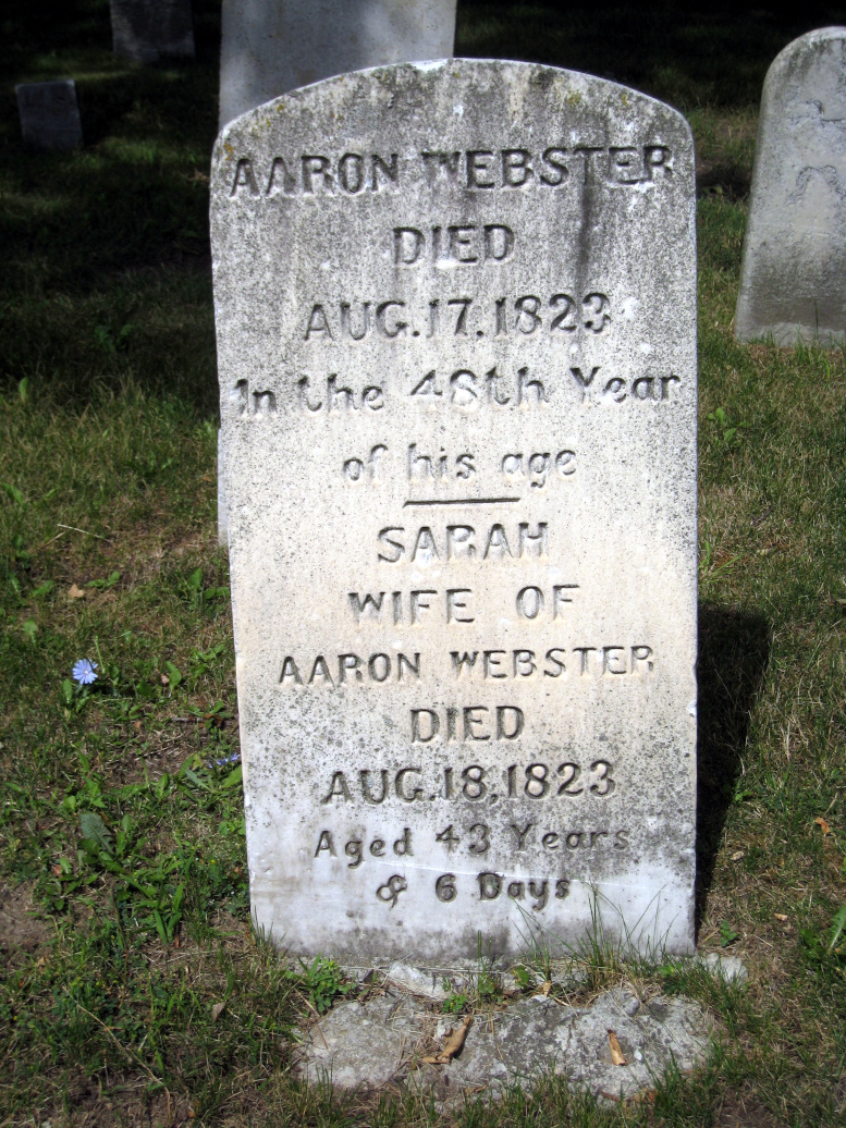 Aaron Webster Cemetery - Clio