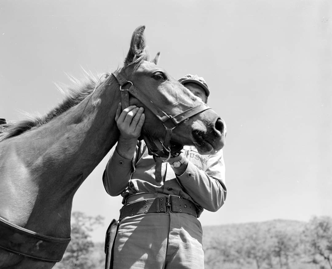 Monument of SSgt Reckless - Clio