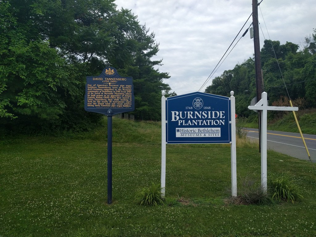 Burnside Plantation - Clio