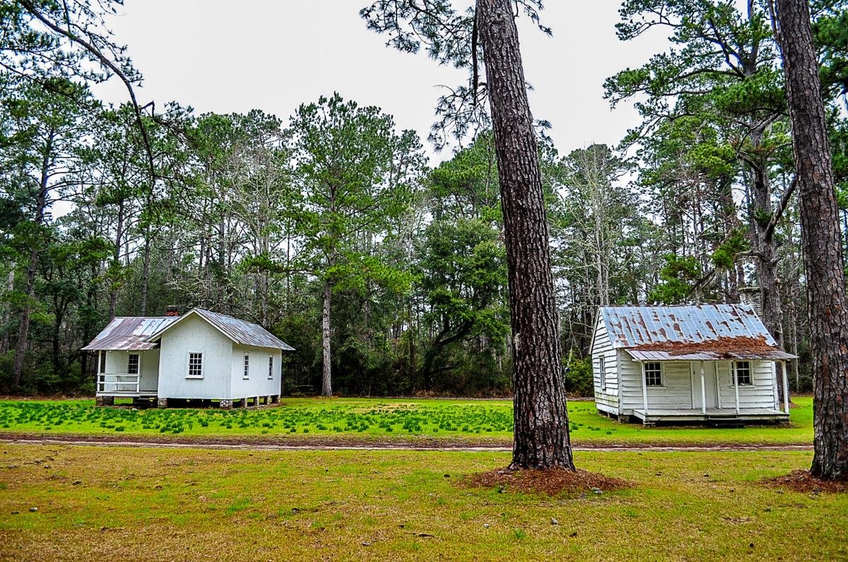 Hobcaw Barony - Clio