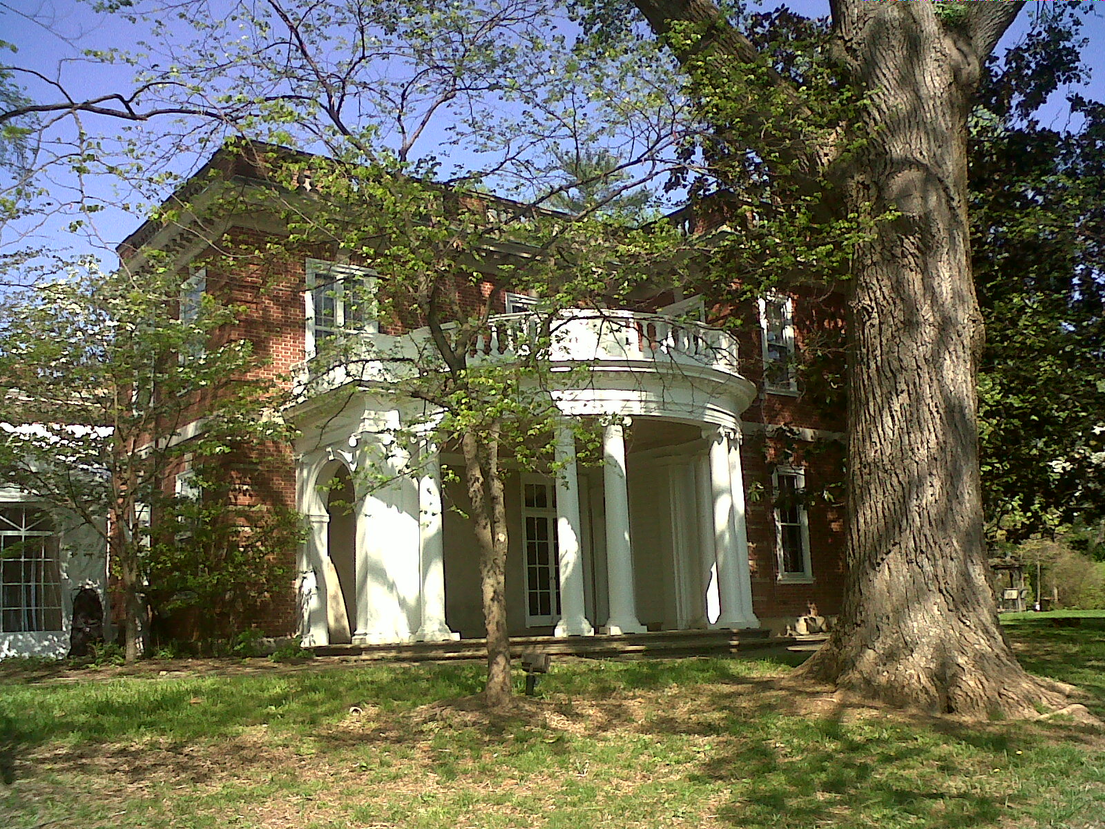 Woodend Sanctuary & Mansion - Clio