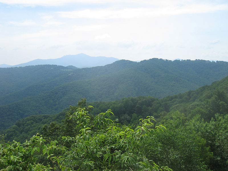 The Battle of Blair Mountain - Clio