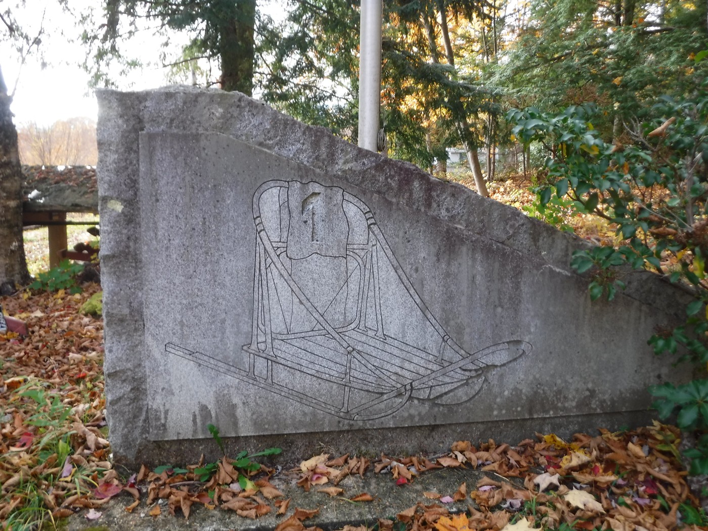 Chinook Kennels - Clio