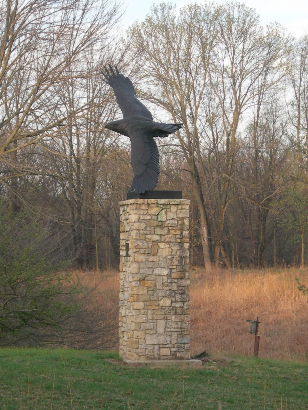 Golden Eagle Sculpture - Clio