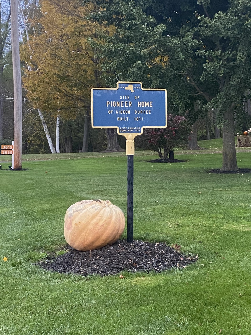 Pioneer Home Historical Marker - Clio