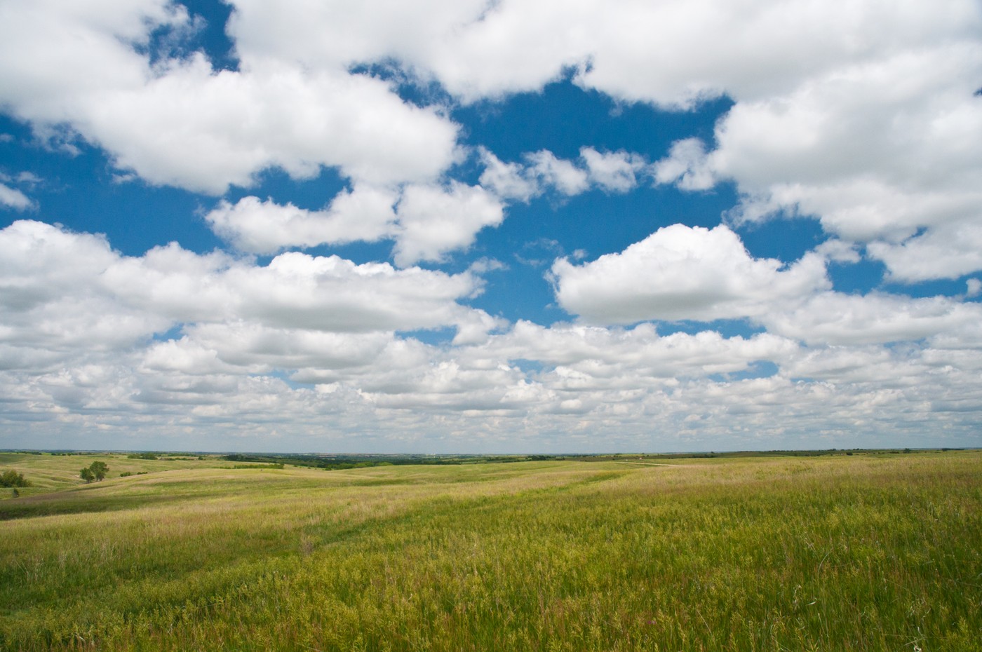 Willa Cather Memorial Prairie - Clio