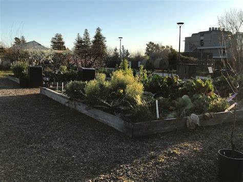 Stanislaus State, Turlock Campus - Walking Tour 2024 - Clio