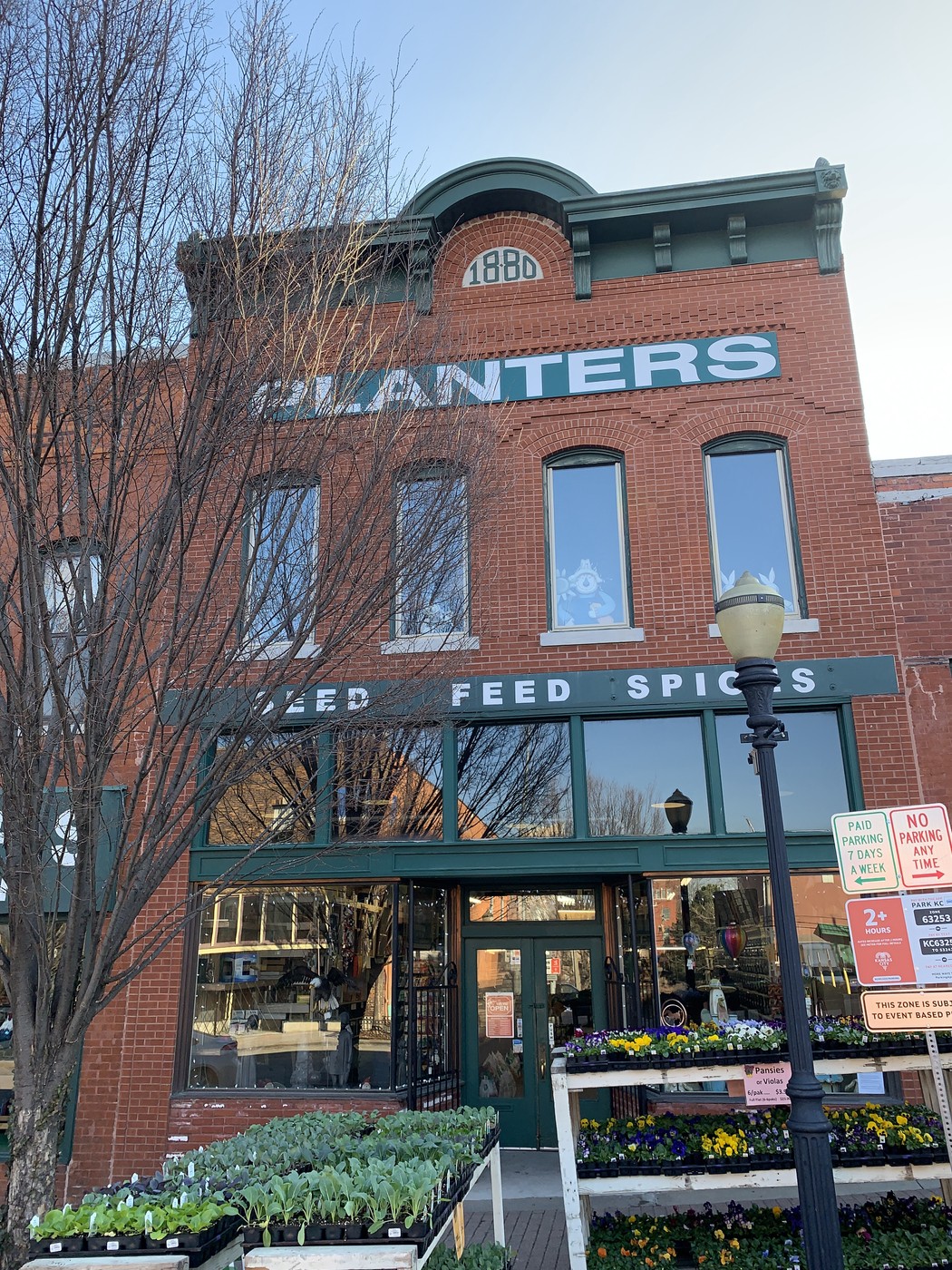 Planters Seed Company - Clio