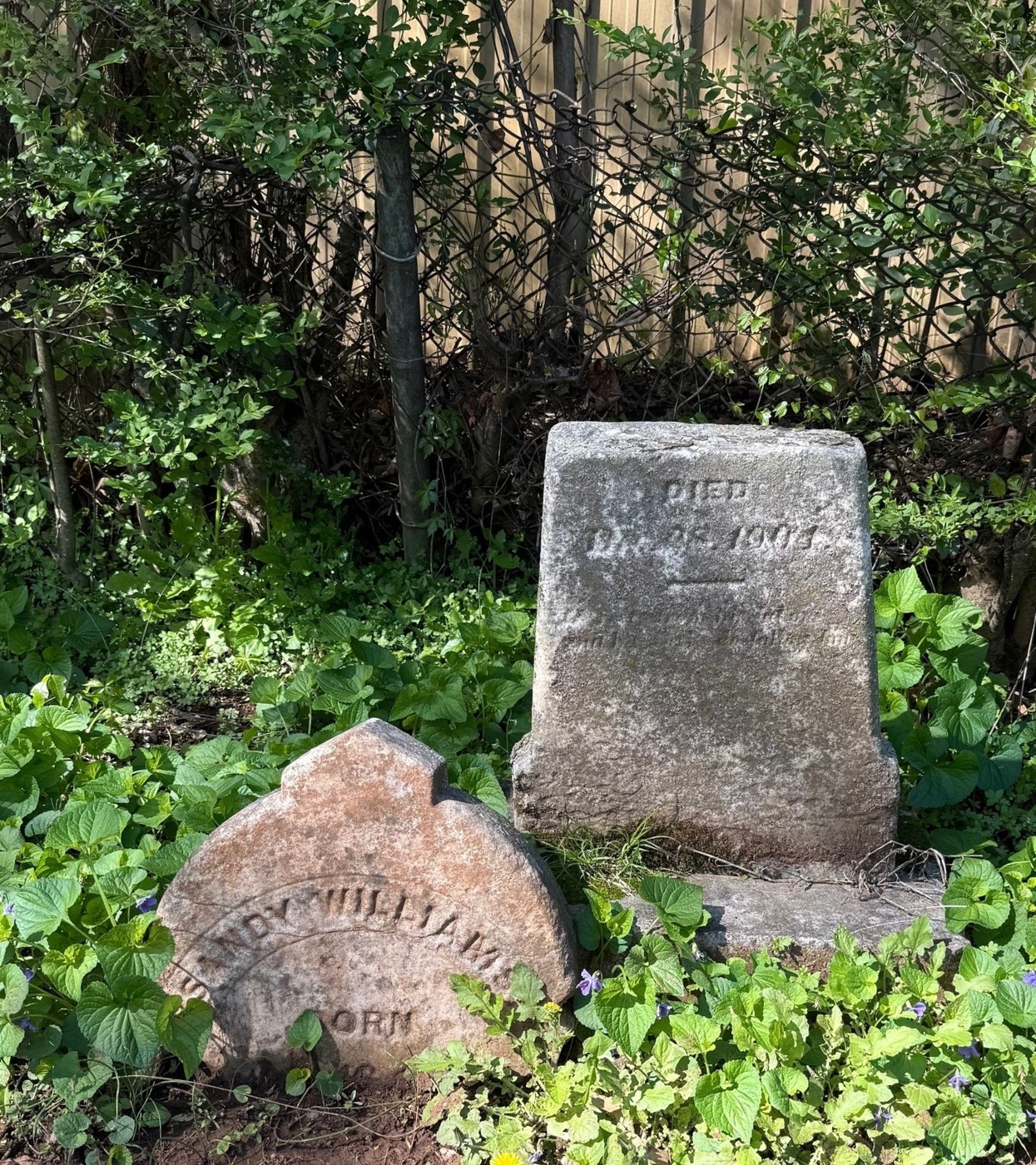 Sandy Williams, U.S.C.T. (Block L Lot 1A, GPS 34.72593, -86.60301) - Clio