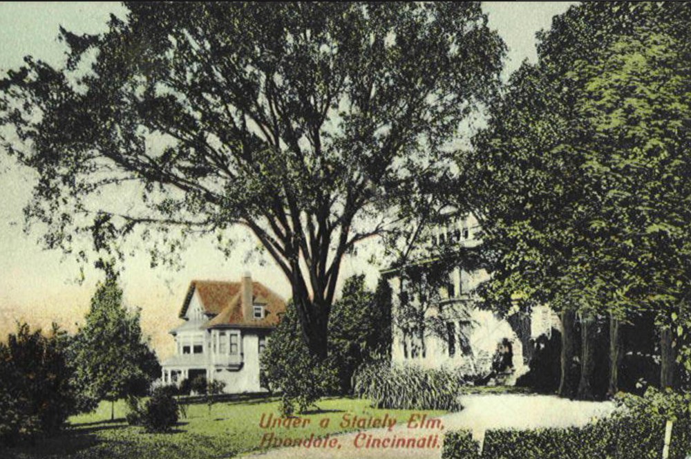 Site of Adam Edward Burkhardt Mansion at 400 Forest Avenue - Clio