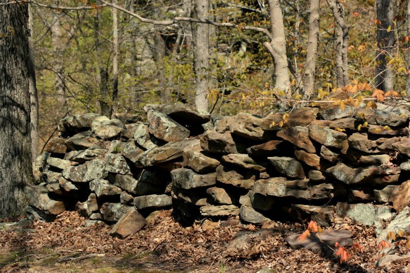 Giant City Stone Fort - Clio