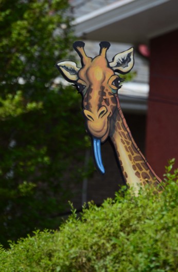 IN PLACE - Geraldine the Giraffe - Clio