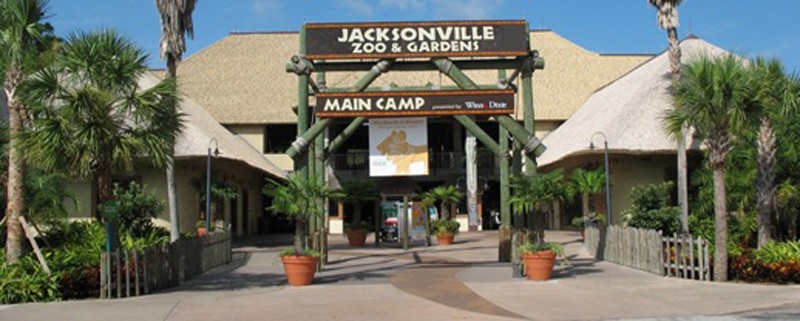 Jacksonville Zoo and Gardens - Clio