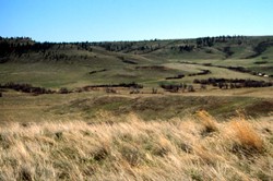 Rosebud Battlefield State Park - Clio