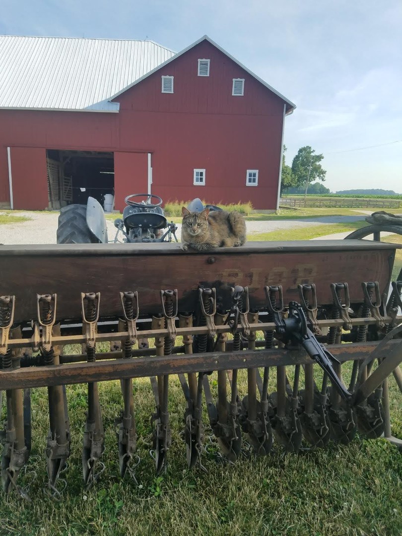Carter Historic Farm - Clio