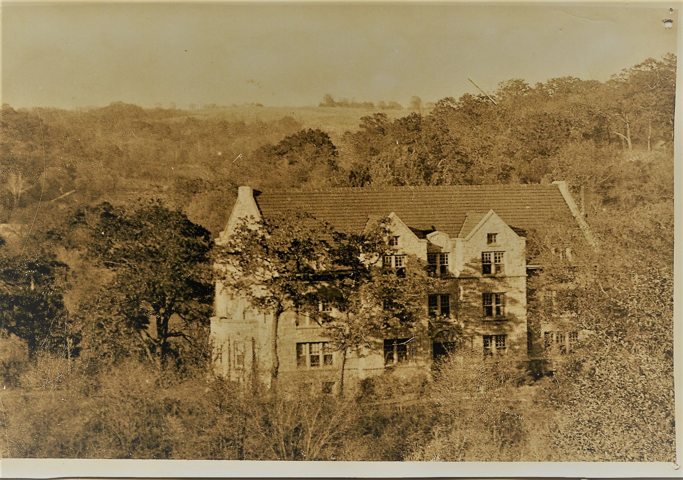 Chestnut Hall - Clio