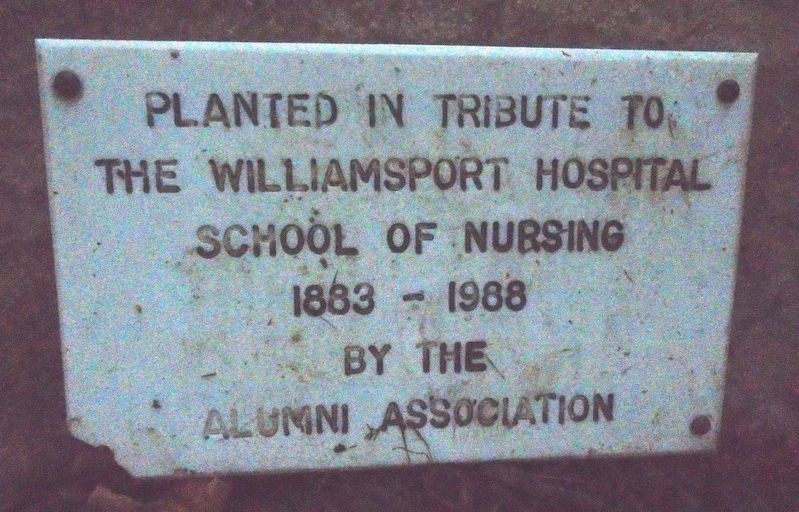 Williamsport Hospital School of Nursing - Clio