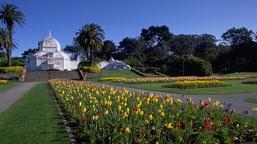 Golden Gate Park - Clio