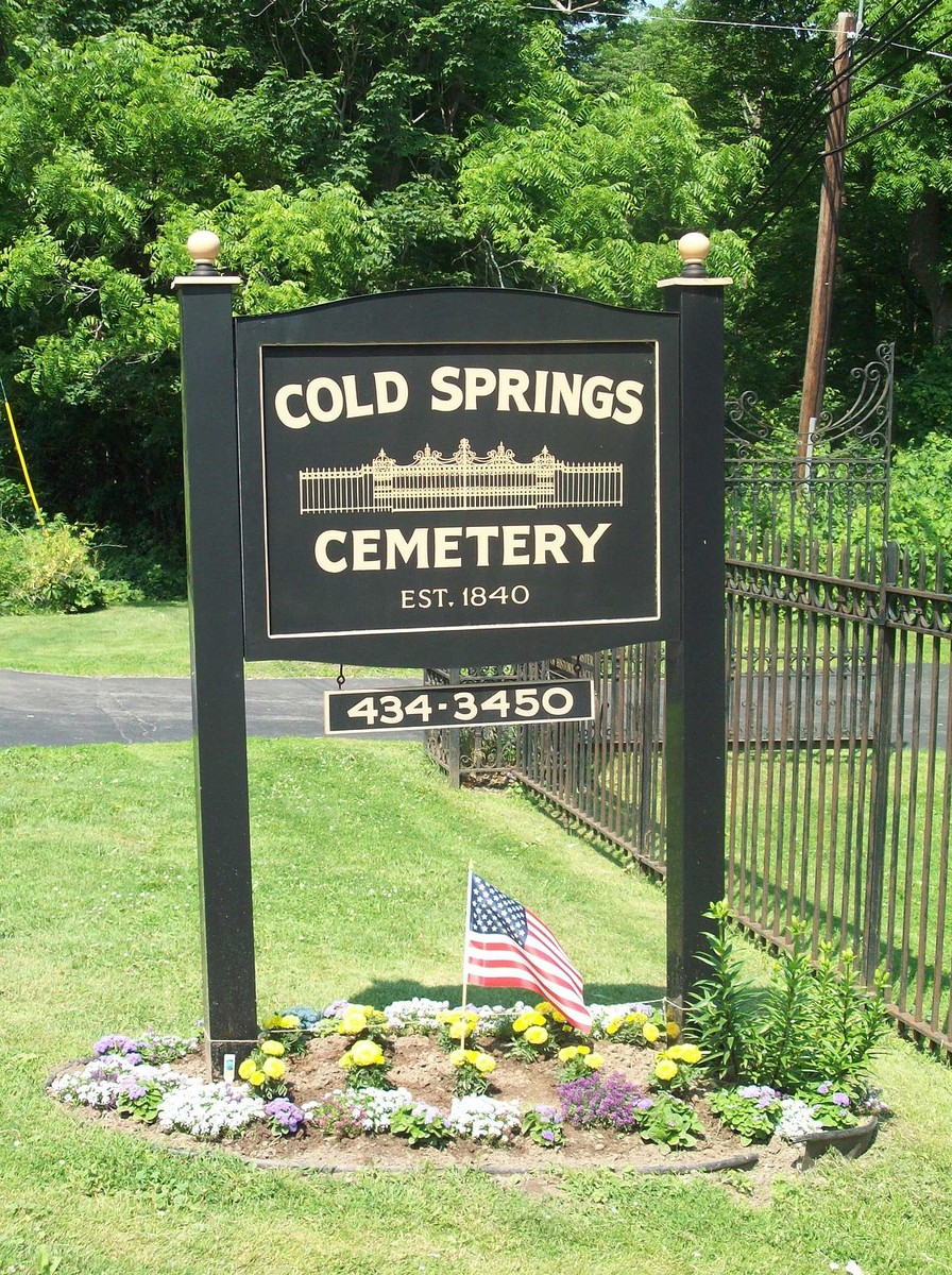 Cold Springs Cemetery - Clio