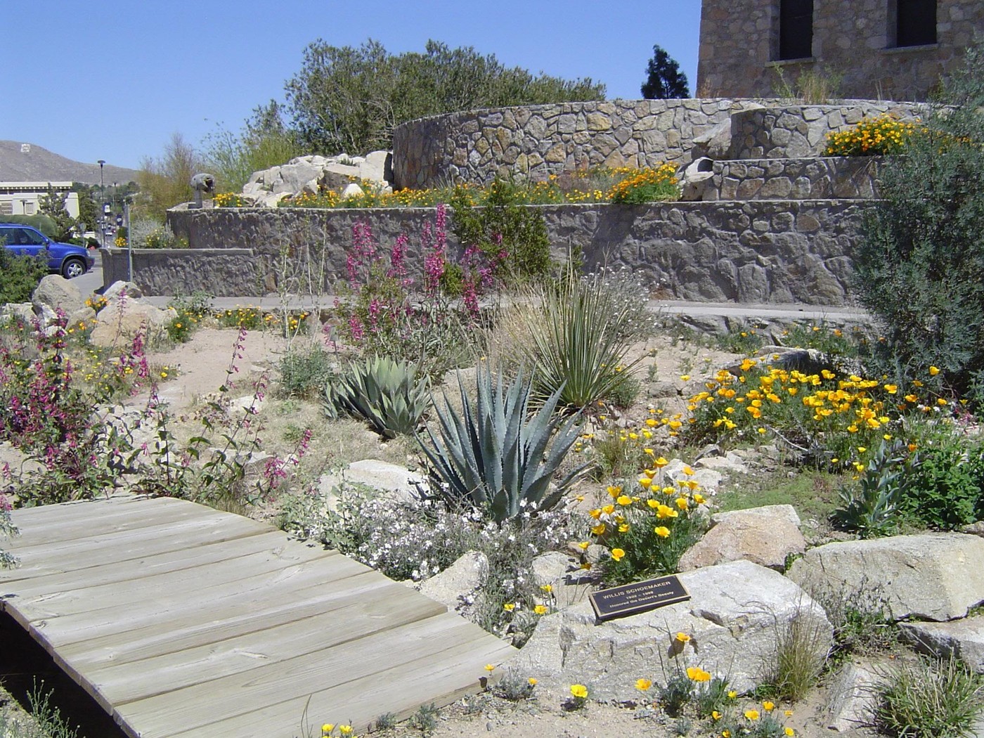 Centennial Museum and Chihuahuan Desert Gardens - Clio