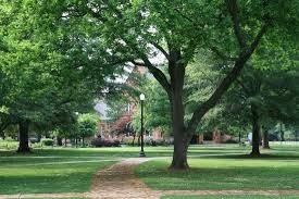 Woods Quad, University of Alabama - Clio