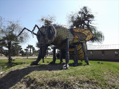 World's Largest Killer Bee Exhibit (1991-Present) - Clio
